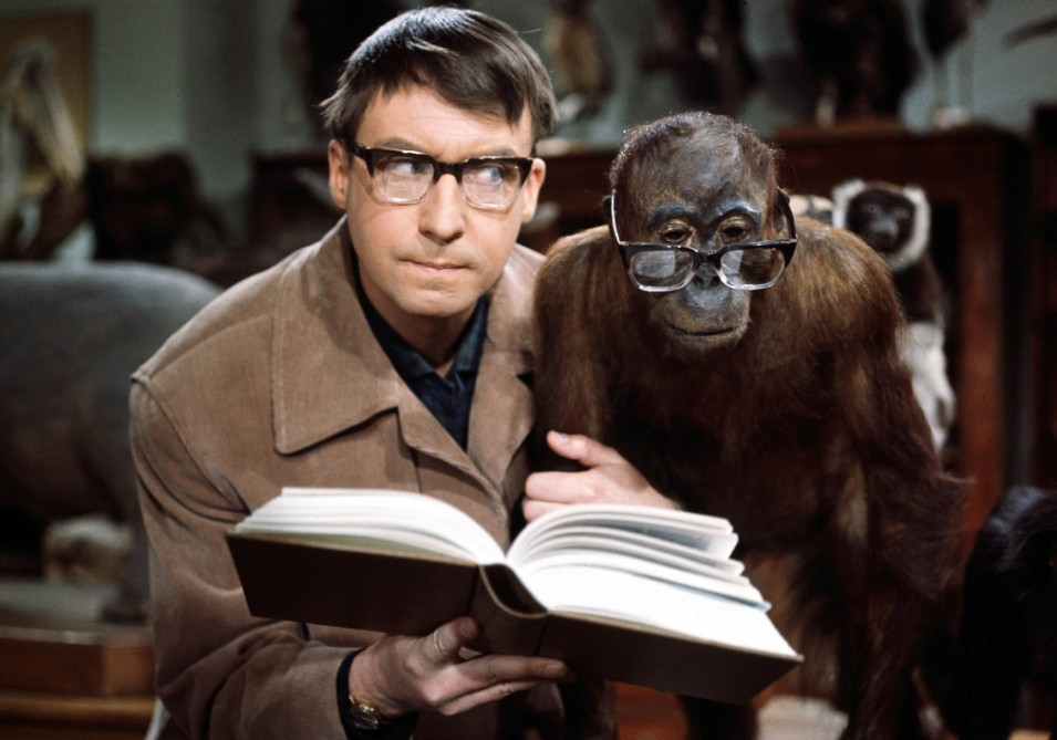 Der Musterknabe - Trailer, Kritik, Bilder und Infos zum Film