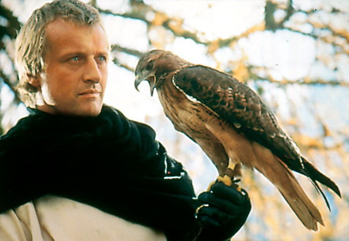 Der Tag des Falken - Trailer, Kritik, Bilder und Infos zum Film